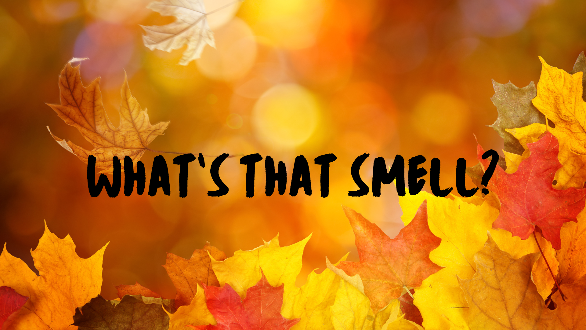 Fall & Winter scents explained – Bearded Homeschool Mom